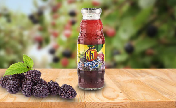 JUGO HIT 237 ml. / JUICE FRUIT JUICE DRINK 8 oz. – Cilaymar SAS